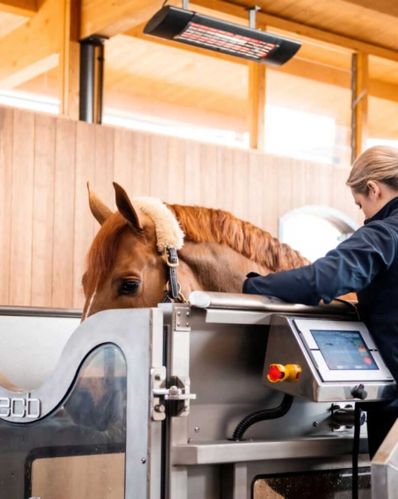 About Cold Salt Hydrotherapy - SOAK EQUINE